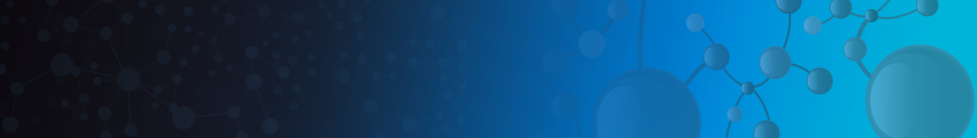 Our Integrated System - NICO Corporation